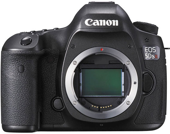 Which Canon DSLR Camera Should You Buy and Why? « Shoot The Centerfold®